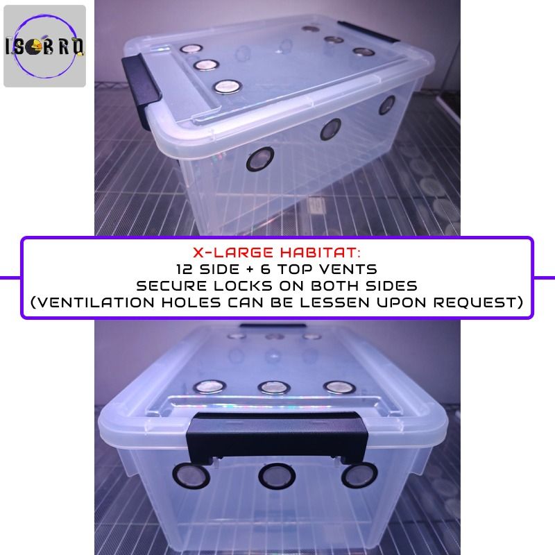 Custom Made Habitat Tank Setup Starter Kit with Mesh Vents & Handle ...
