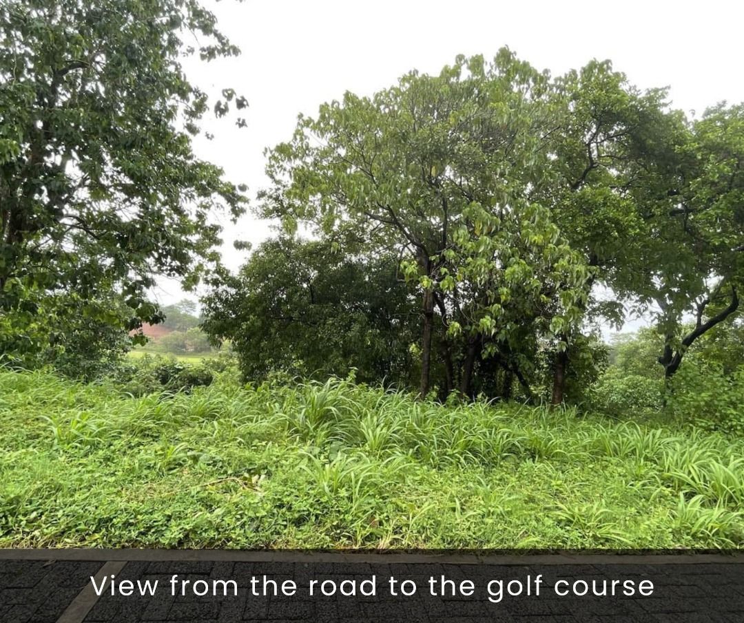 GOLF COURSE PROPERTY LOT FOR SALE - Morong Bataan, Property, For Sale ...