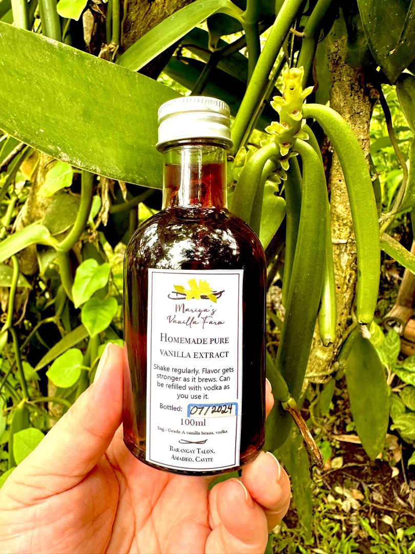 Pure Vanilla Extract, Food & Drinks, Spice & Seasoning on Carousell