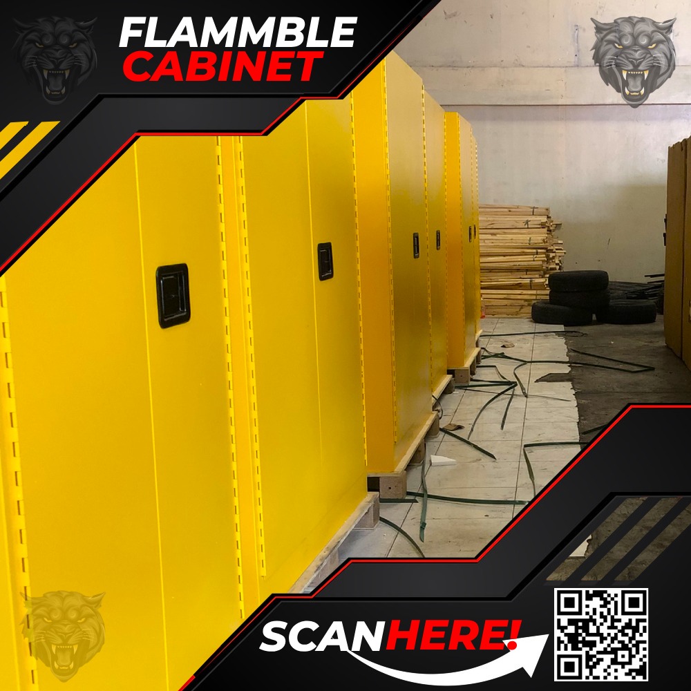 Compact Flammable Acid and Corrosive Safety Cabinet, Commercial ...