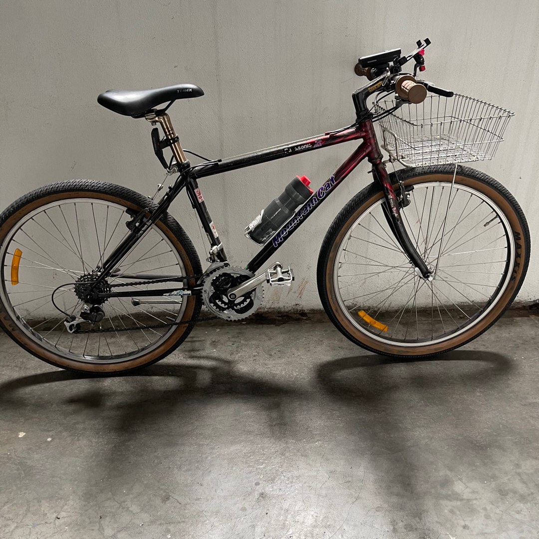 RETRO MTB PANASONIC MOUNTAIN CAT R, Sports Equipment, Bicycles & Parts ...