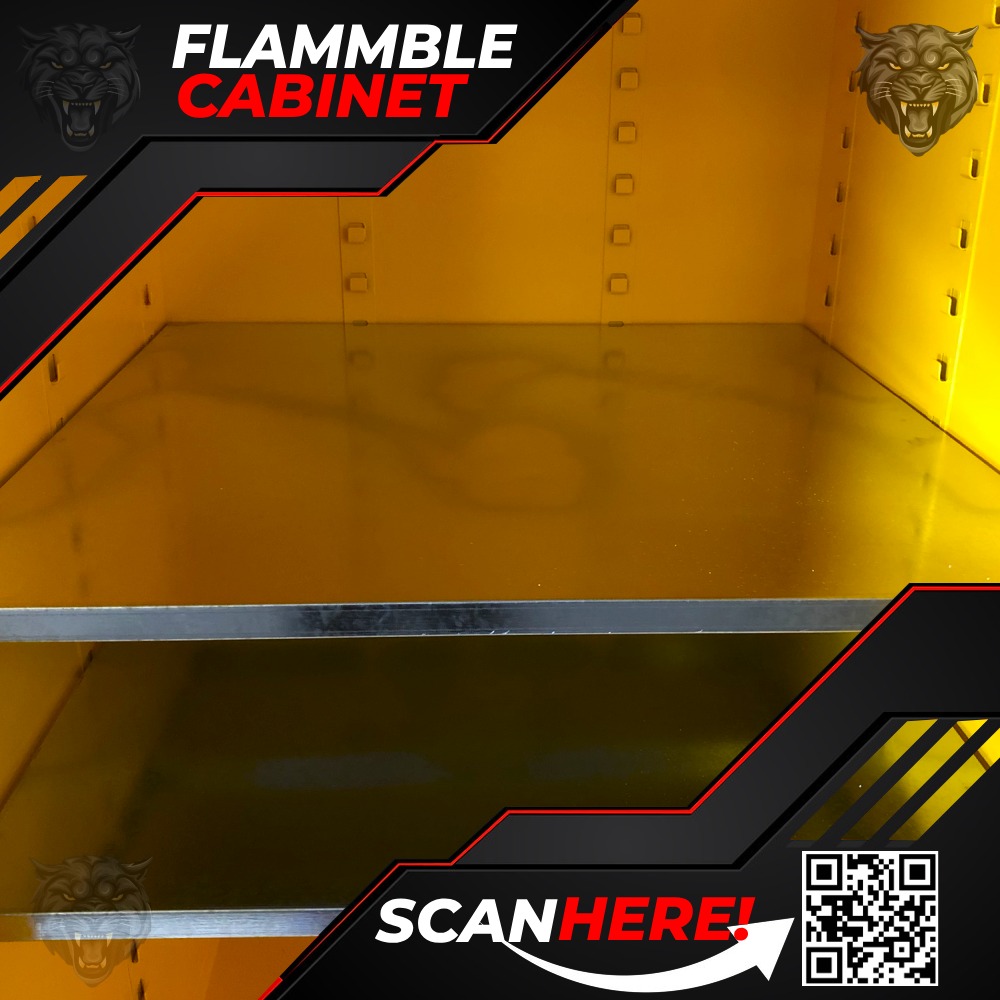 Standard Flammable Acid and Corrosive Safety Cabinet, Commercial ...