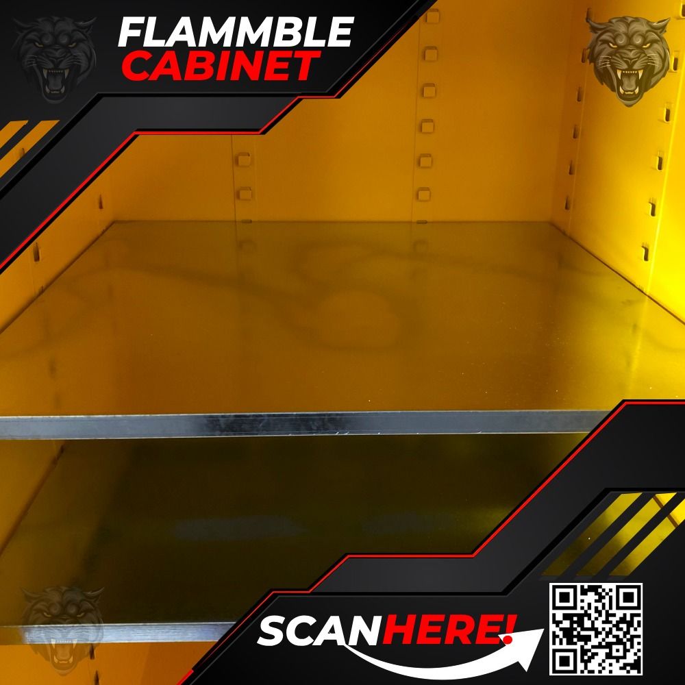 Standard Flammable Acid and Corrosive Safety Cabinet, Commercial ...