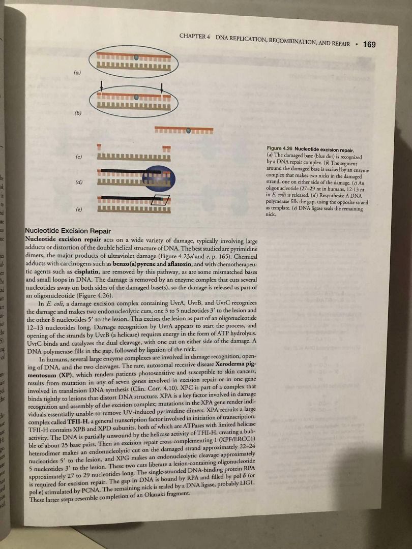 Textbook of Biochemistry with Clinical correlation Devlin (7th edition ...