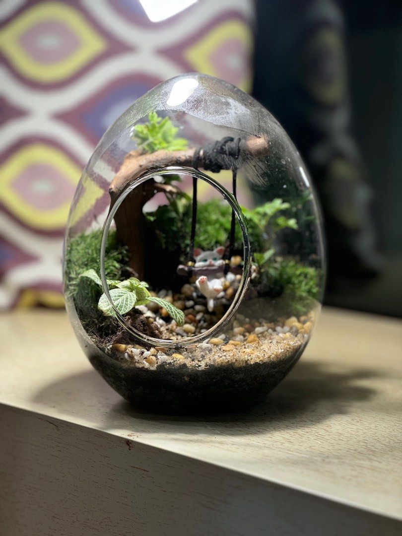 ANIME CAT TERRARIUM, Furniture & Home Living, Home Decor, Artificial ...