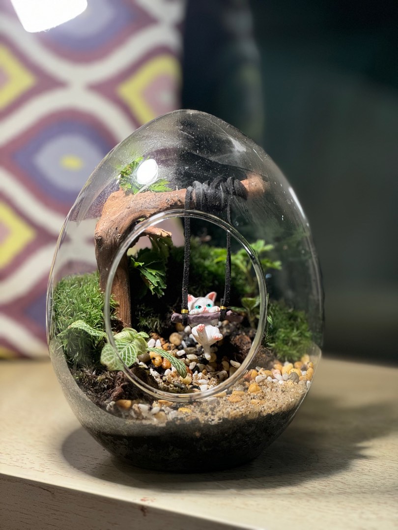 ANIME CAT TERRARIUM, Furniture & Home Living, Home Decor, Artificial ...