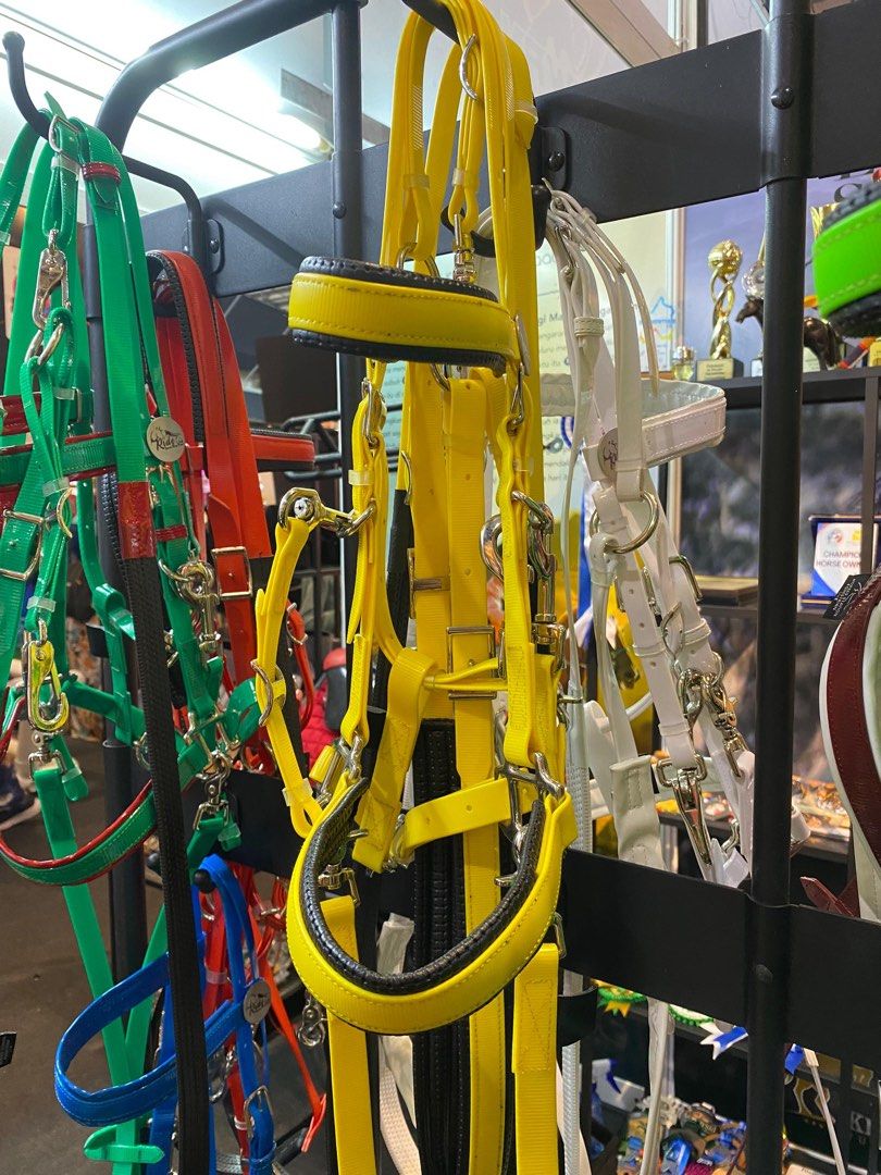 ENDURANCE BRIDLE HORSE (ISF RIDE), Sports Equipment, Sports & Games ...