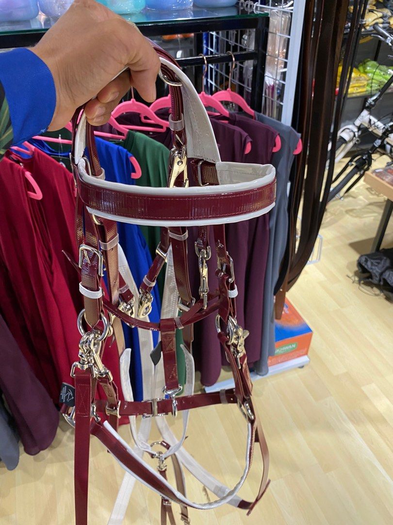 ENDURANCE BRIDLE HORSE (ISF RIDE), Sports Equipment, Sports & Games ...
