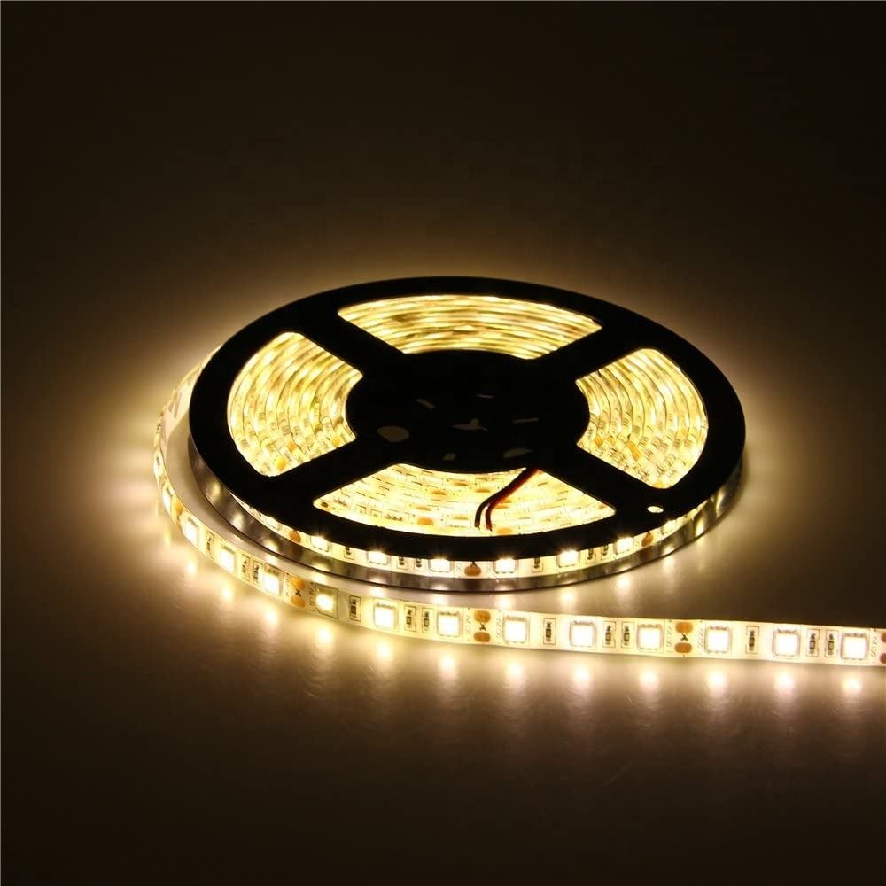 LED Strip Lights 12V 5 meters SMD 5050 (Strip Light only) Indoor Use ...