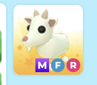 Roblox Adopt Me MFR (Mega Fly Ride) Shrew, Video Gaming, Video Games ...