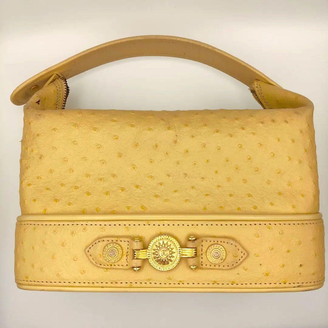 VERSACE Versace Vanity Sambaus Ostrich, Luxury, Bags & Wallets on Carousell