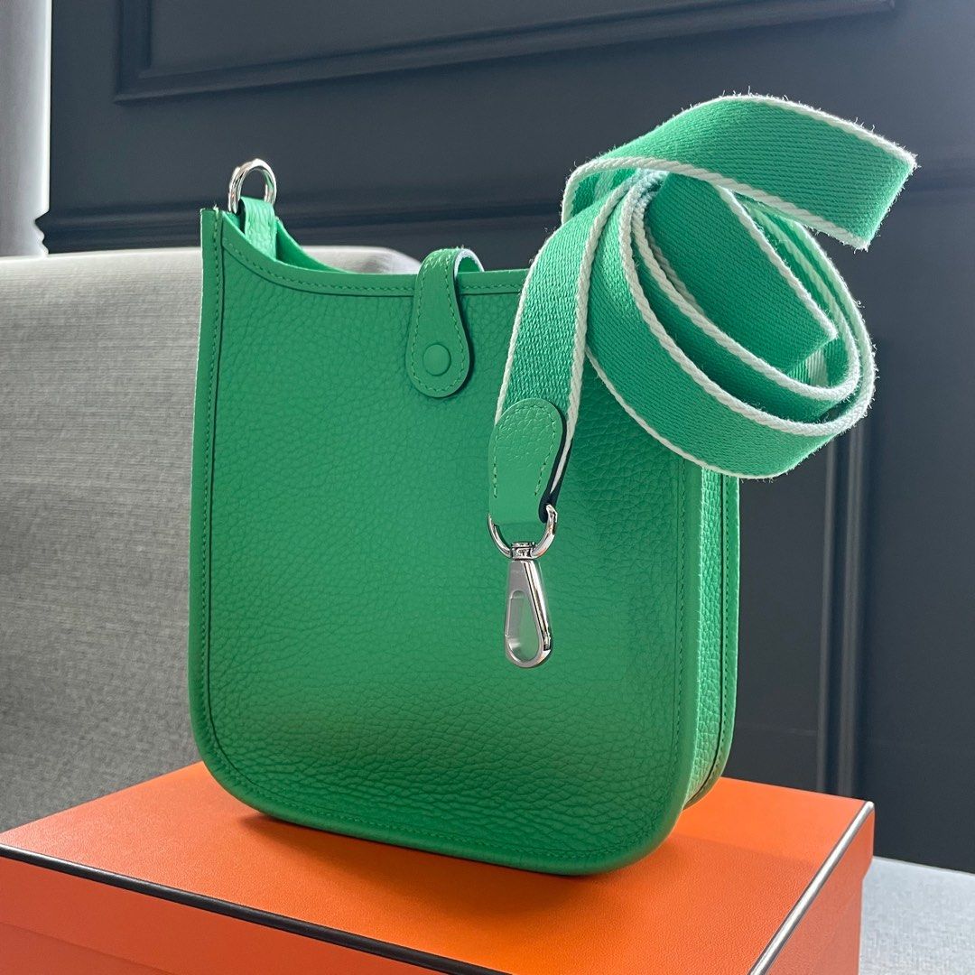 Authentic Hermes Mini Evelyne Vert Comics TPM 16 Taurillon Clemence new ...