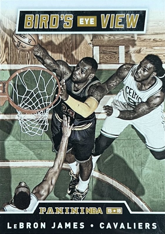 NBA CARDS | LeBron James | Bird's Eye View '15, Hobbies & Toys, Toys ...