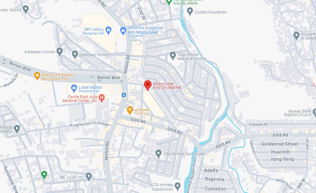 SAN ROQUE MOLINO BACOOR CAVITE WET AND DRY MARKET WITH GROCERY FOR SALE ...