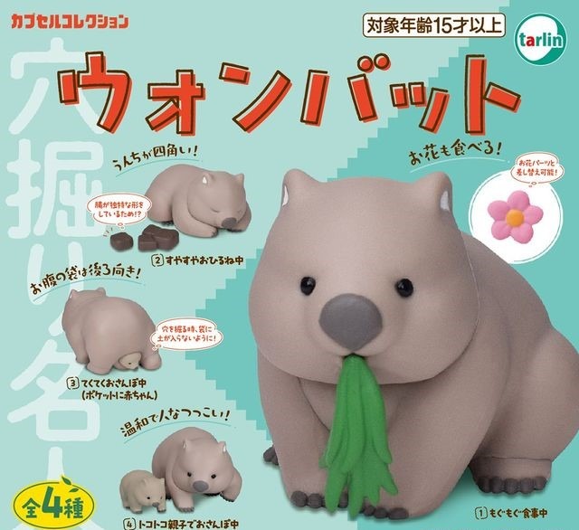 現貨（2024 8月日本推出）（Tarlin 扭蛋）（一套/單售）Tarlin 袋熊, 興趣及遊戲, 玩具 & 遊戲類 - Carousell
