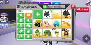 Adopt Me Pet Ageing Service, Video Gaming, Gaming Accessories, In-Game ...