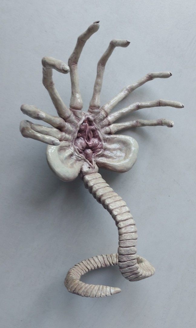 Alien facehugger, Hobbies & Toys, Toys & Games on Carousell