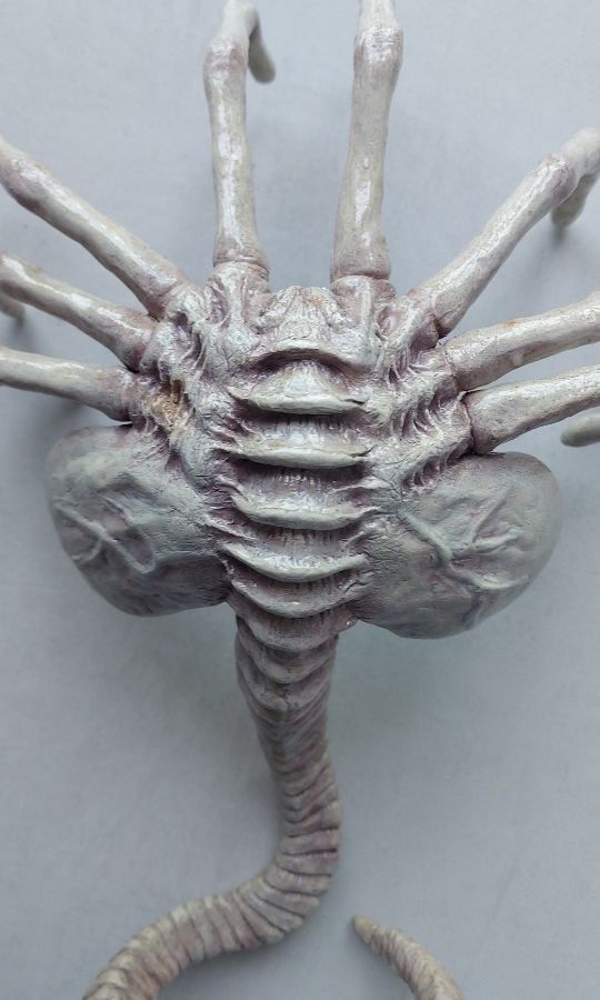 Alien facehugger, Hobbies & Toys, Toys & Games on Carousell