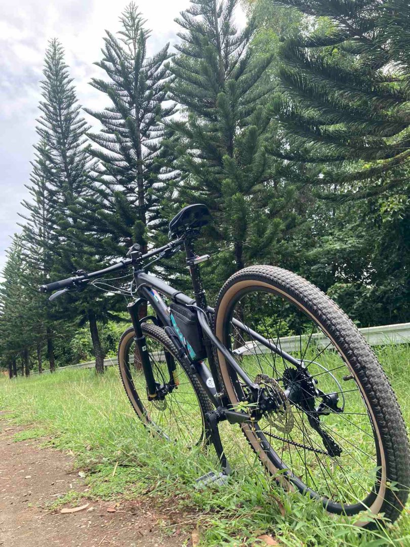 Cole IBEX 2.0 RC, Sports Equipment, Bicycles & Parts, Bicycles on Carousell