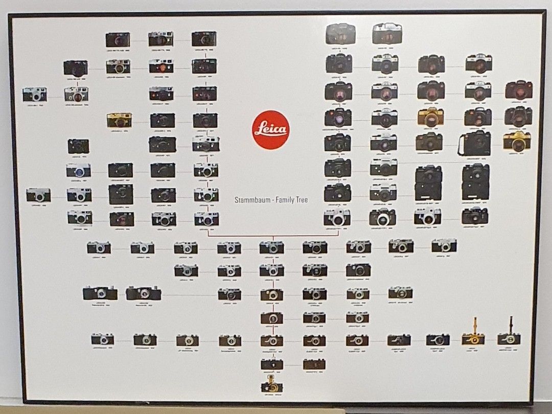 Leica Family Tree ( Film Cameras) New, Photography, Cameras on Carousell
