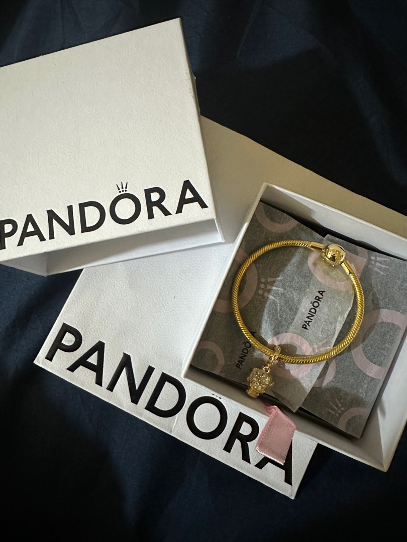 Pandora Moments Snake Chain, Women's Fashion, Jewelry & Organizers ...