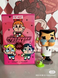 PopMart Blind Box : Labubu macaron / crybaby powerpuff girl, Hobbies ...