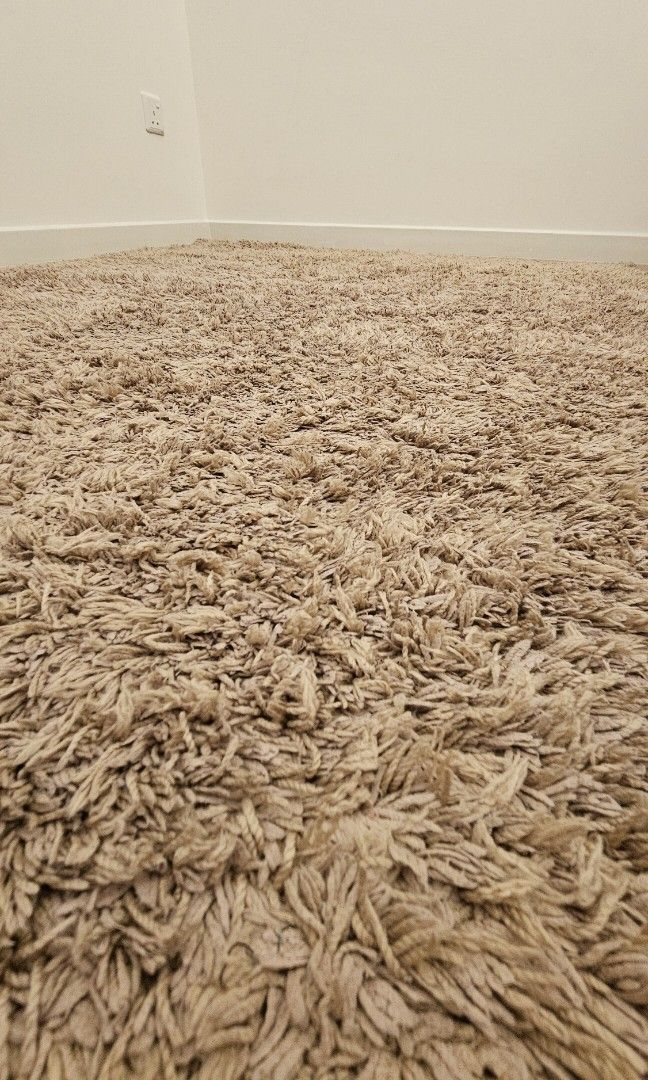 Carpet Jakel plain shaggy, Furniture & Home Living, Home Decor, Carpets ...