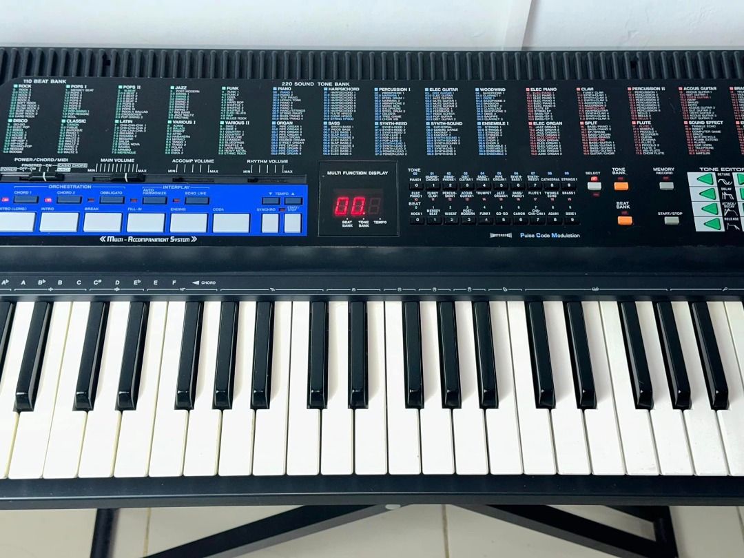 Casio CT-670 Piano Keyboard Organ 61 Keys English Labels Perfect for ...