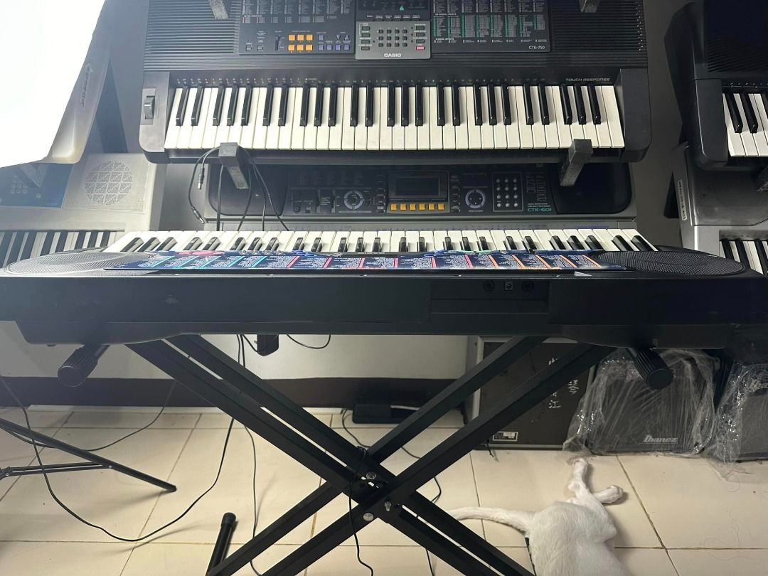 Casio CTK-495 Piano Keyboard Organ 61 Keys Perfect for Beginners ...