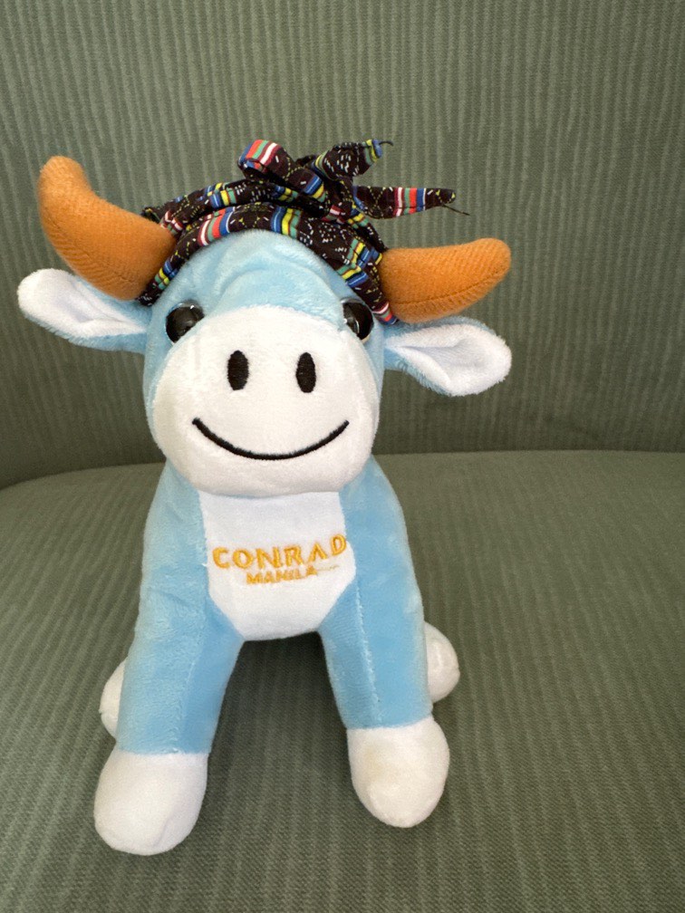 Conrad Hotel Carabao, Hobbies & Toys, Toys & Games on Carousell