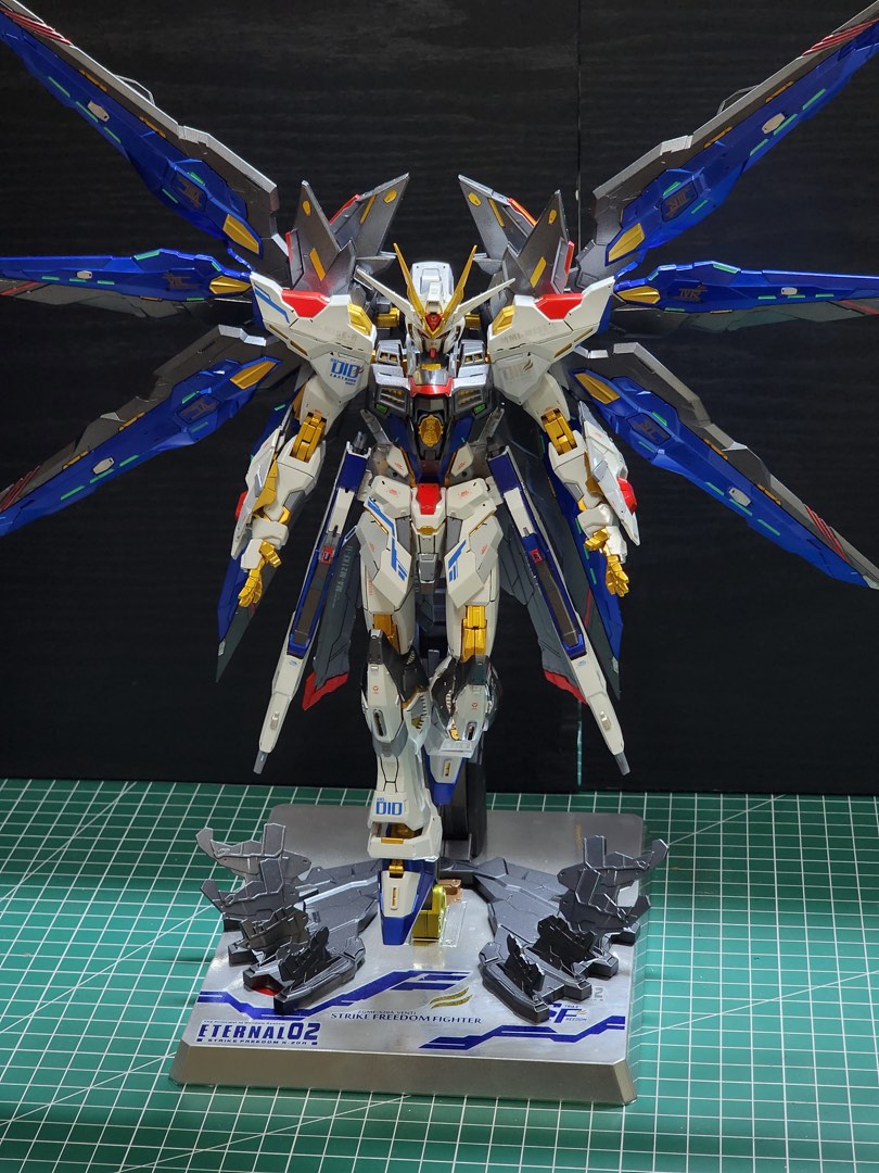 MG 1/100 Strike Freedom Fighter (mb version), Hobbies & Toys, Toys ...