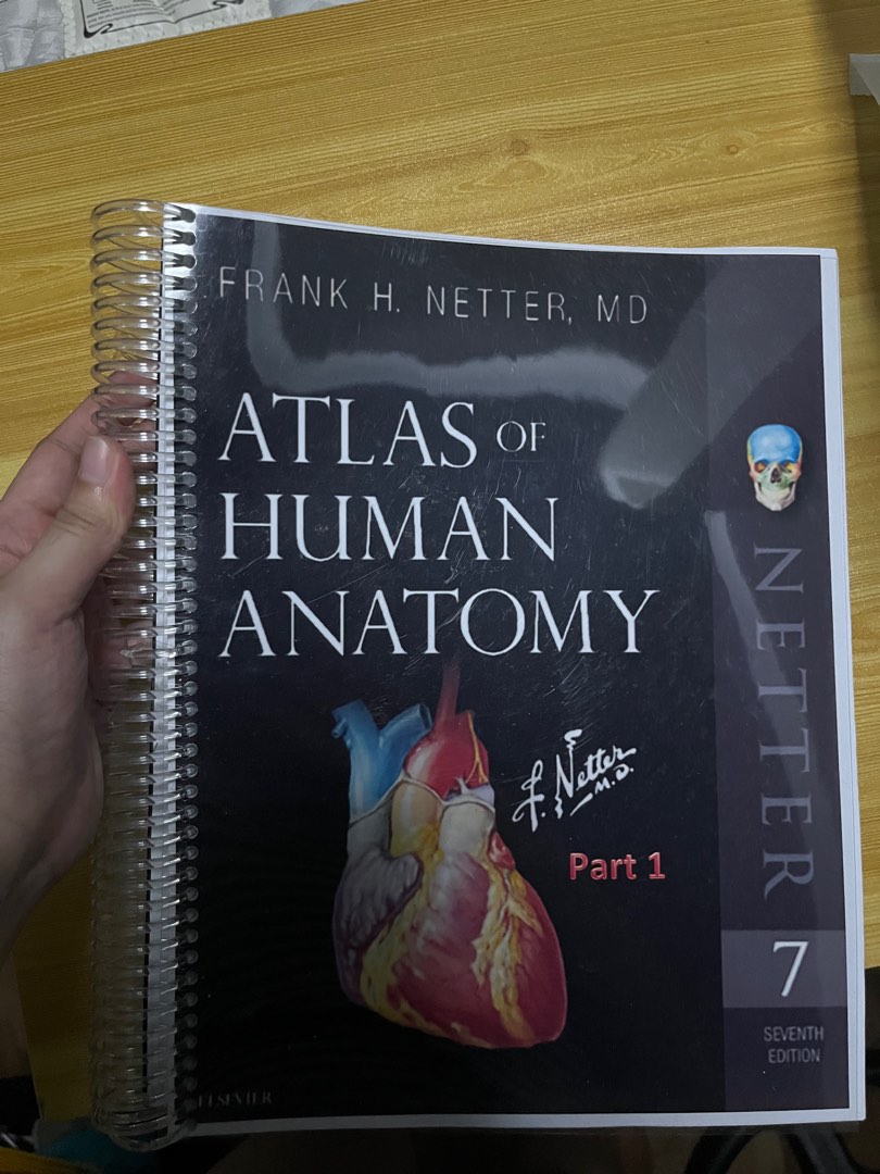 Netter Atlas of Human Anatomy (7th edition), Hobbies & Toys, Books ...