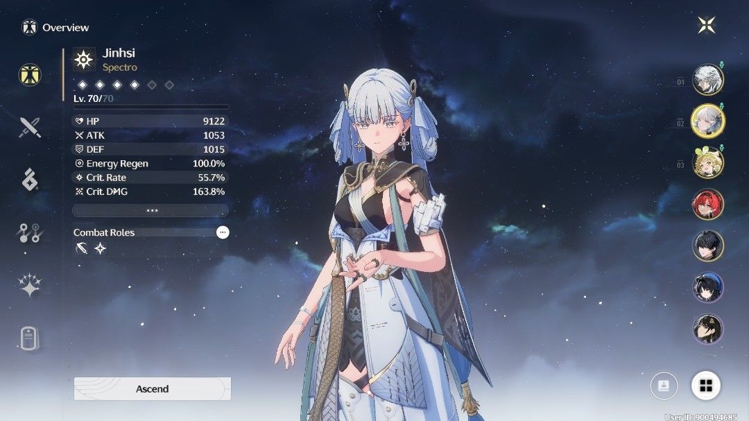 Wuthering waves account, Video Gaming, Video Games, Others on Carousell