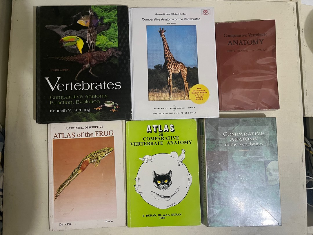 ANATOMY COMPANA Comparative Anatomy Books, Hobbies & Toys, Books ...