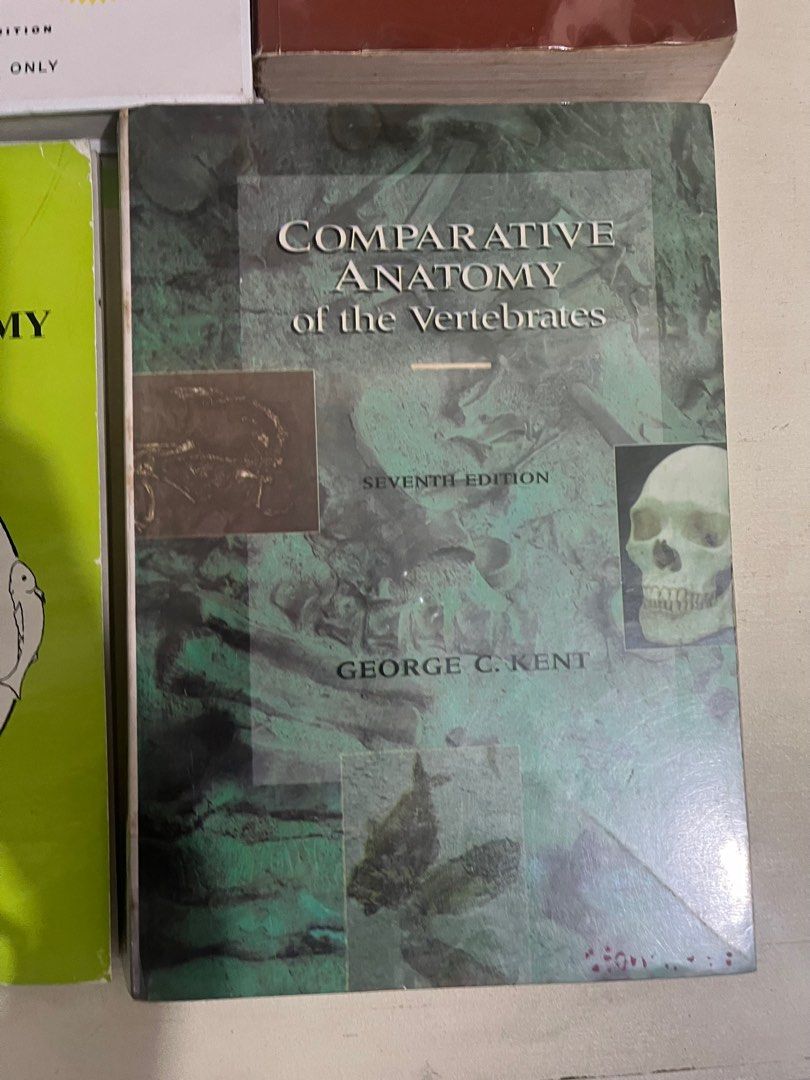 ANATOMY COMPANA Comparative Anatomy Books, Hobbies & Toys, Books ...