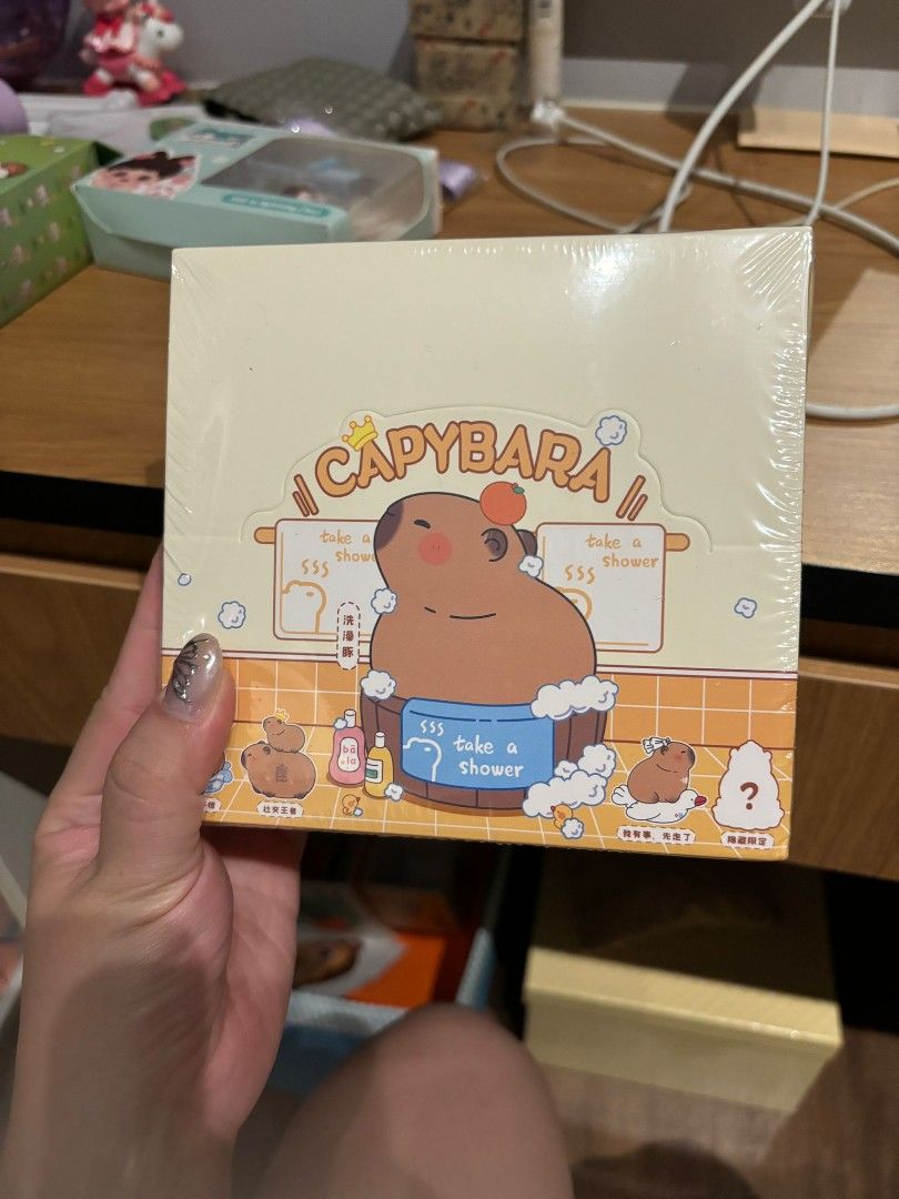 Capybara Blind Box, Hobbies & Toys, Toys & Games on Carousell