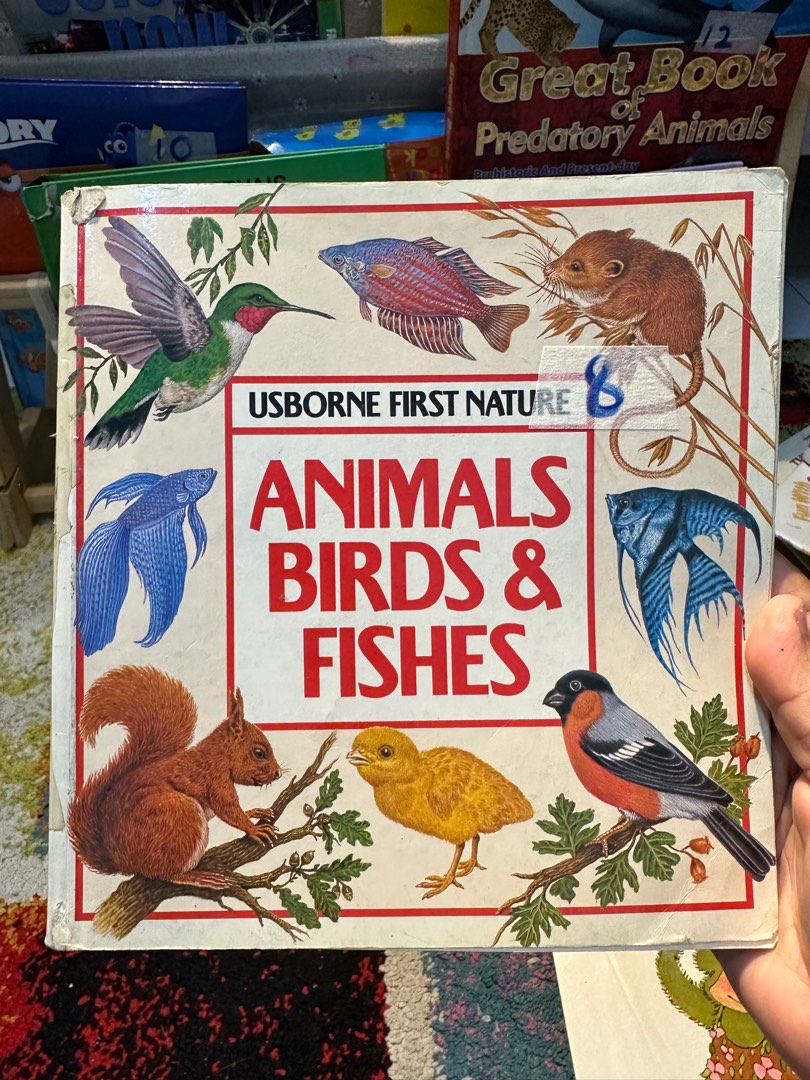 Usborne first Nature (Animals Birds and fishes), Hobbies & Toys, Books ...