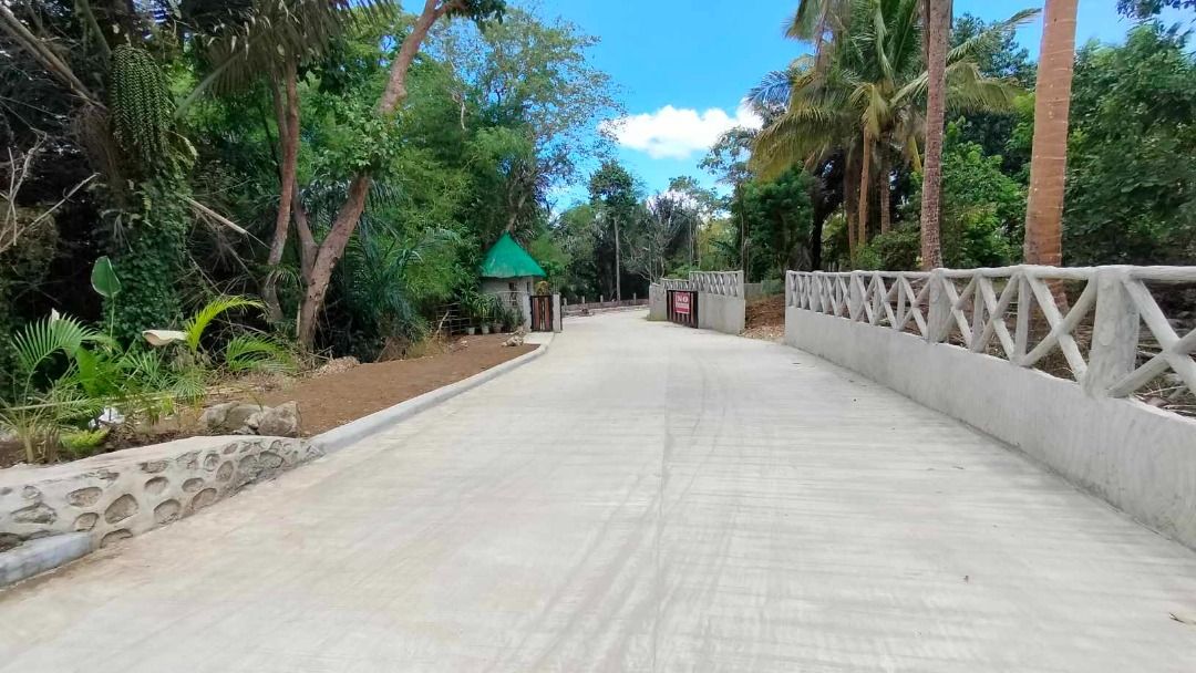 Farm lot for sale with fruits bearing and cold weather Cavite, Property ...
