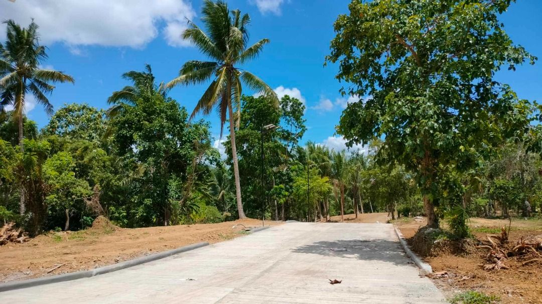 Farm lot for sale with fruits bearing and cold weather Cavite, Property ...