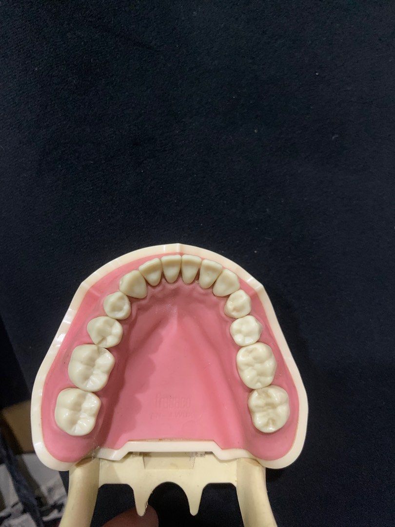 Frasaco ANA-4 DAF with Endo Plate, Health & Nutrition, Medical Supplies ...