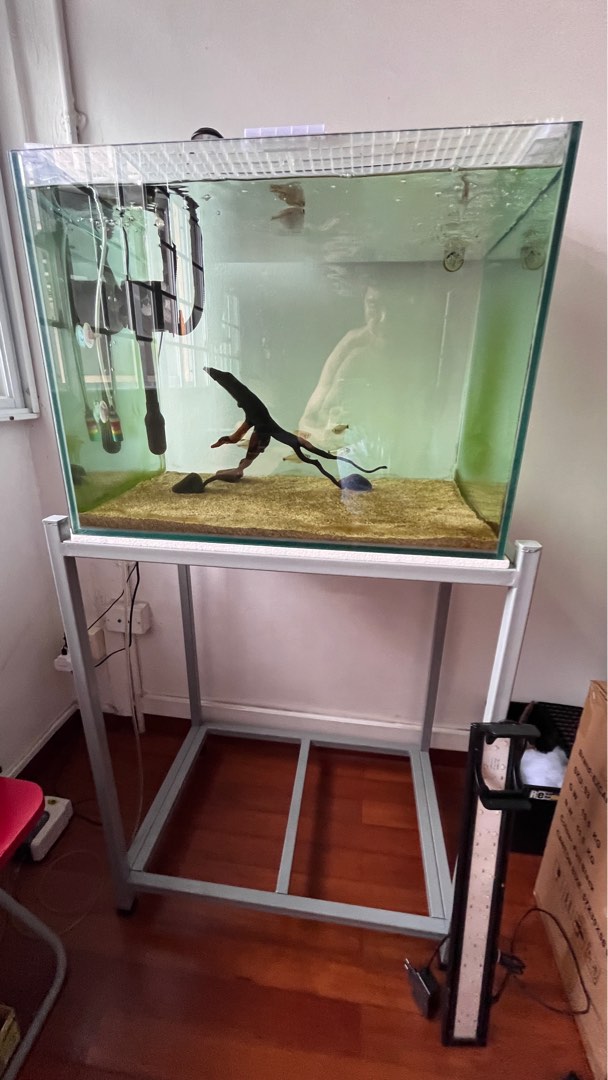 2 Feet (Thick Glass) Fish Tank Full Set, Pet Supplies, Homes & Other ...