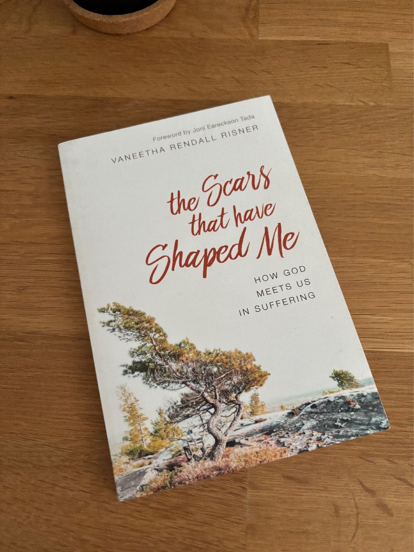 The Scars That have shaped me - Vaneetha, Hobbies & Toys, Books ...