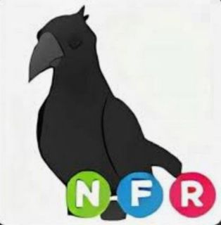 Adopt Me - Crow FR & NFR ( Roblox ) - Pets, Video Gaming, Gaming ...