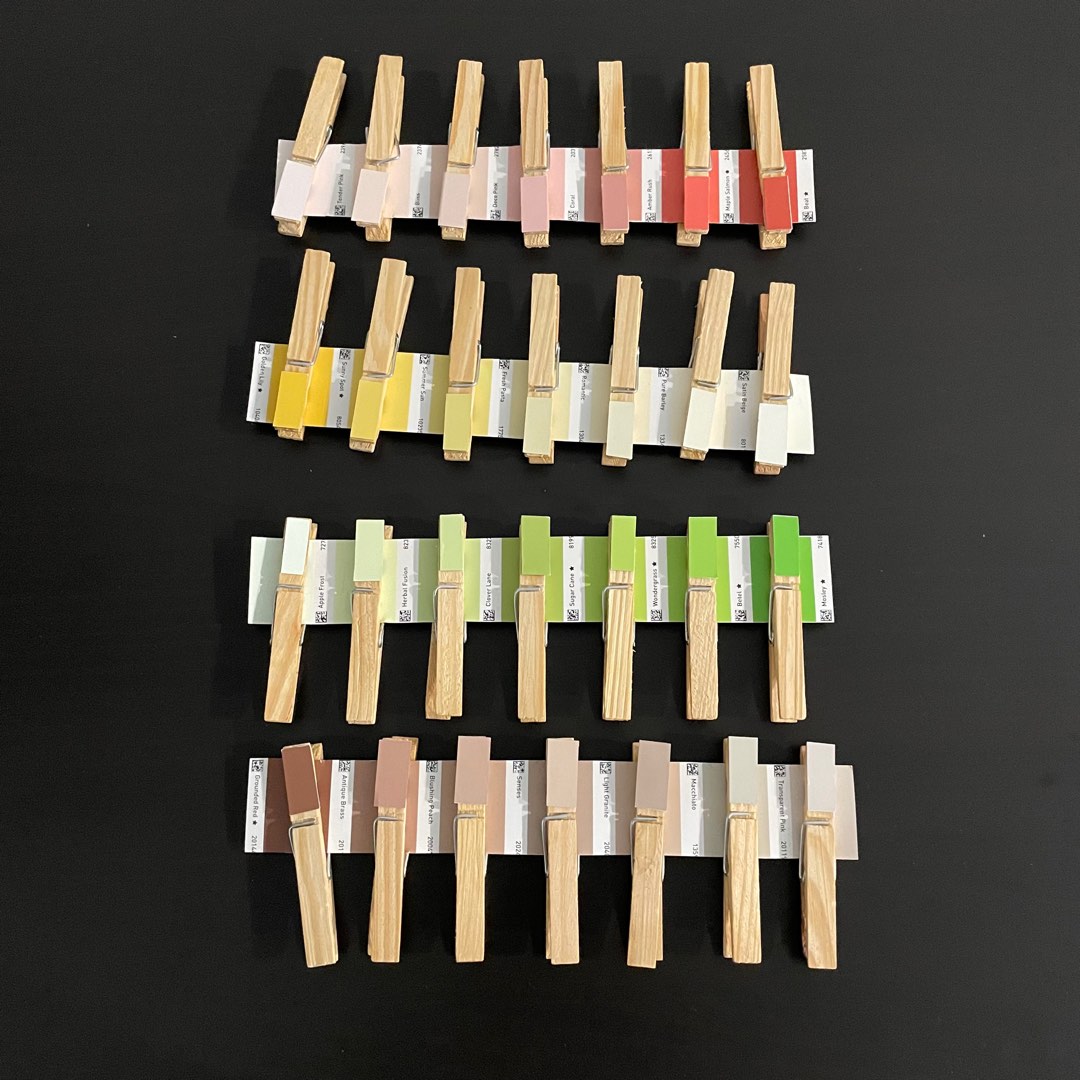 Montessori Set of 4 colour matching clips, Hobbies & Toys, Toys & Games ...