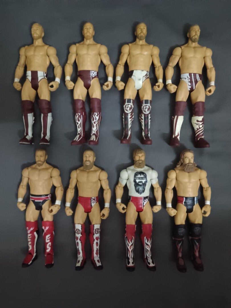 WWE Daniel Bryan Basic Figure, Hobbies & Toys, Toys & Games on Carousell