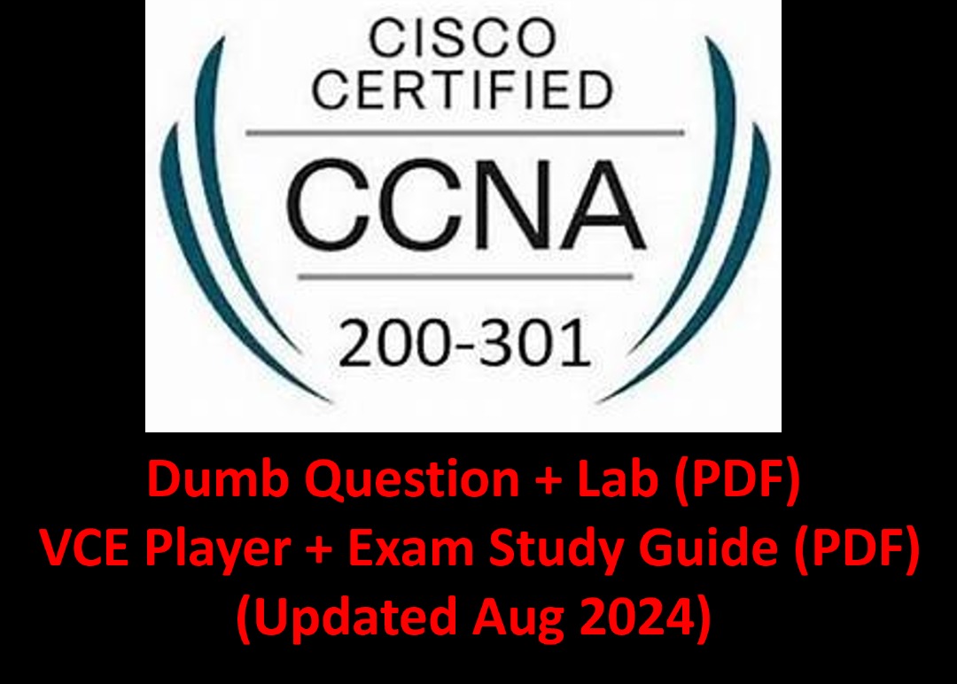 200-301 CCNA Dumps (Updated August 2024), Hobbies & Toys, Books ...
