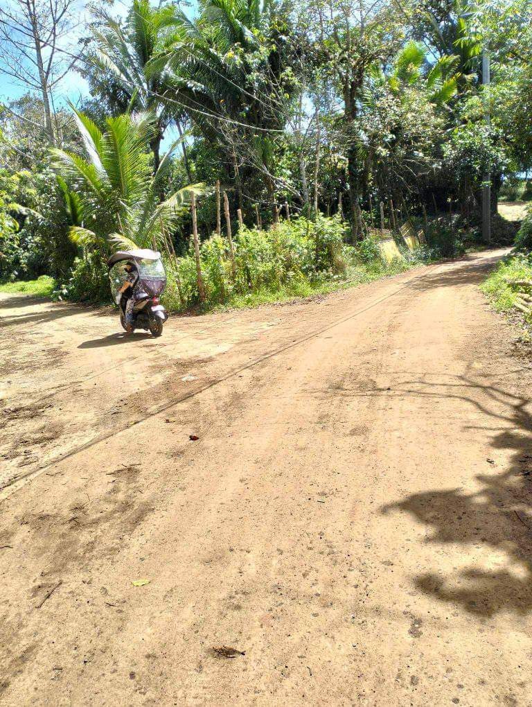 7 hectares land, Property, For Sale, House & Lot on Carousell