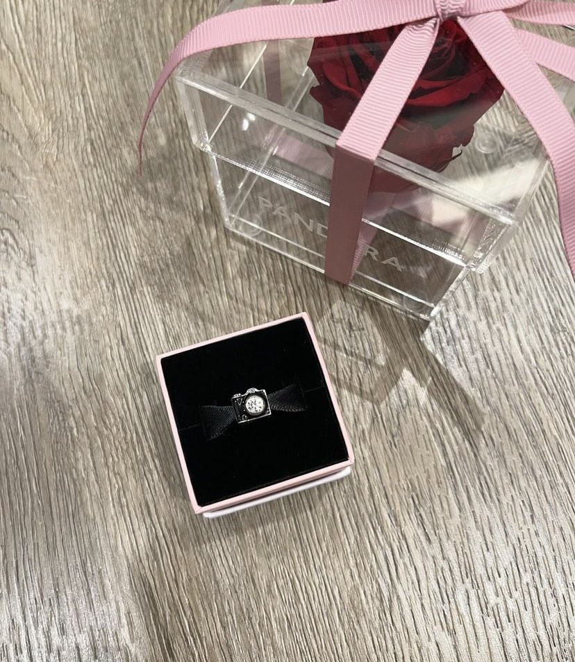 ‼️ Sale Pandora Sentimental Snapshots Charm, Women's Fashion, Jewelry ...