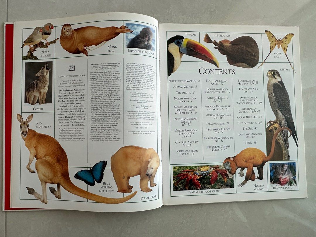 [DK] The Big Book of Animals, Hobbies & Toys, Books & Magazines ...
