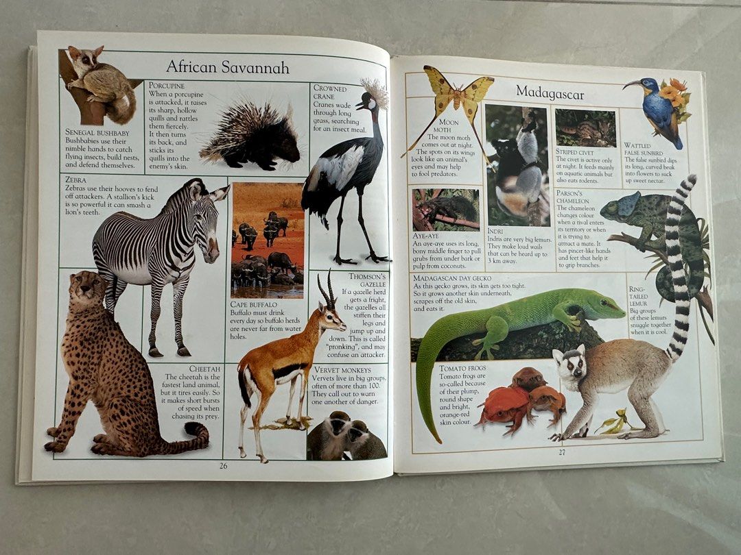 [DK] The Big Book of Animals, Hobbies & Toys, Books & Magazines ...